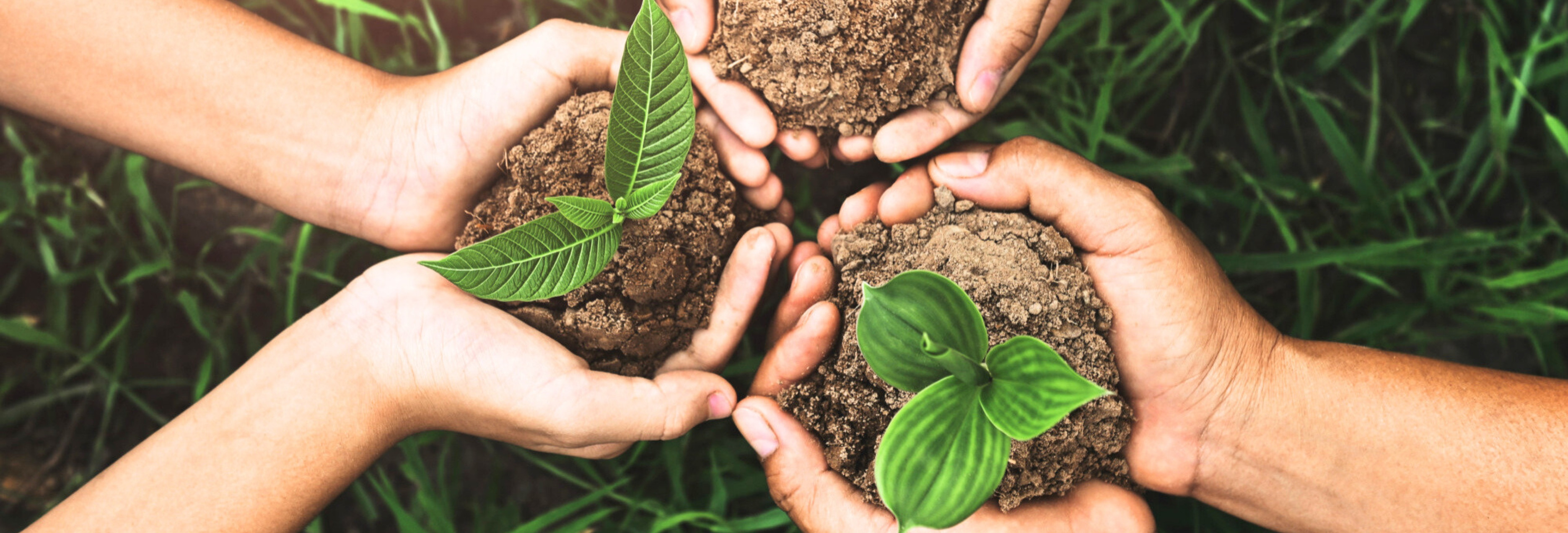 Environmental Sustainability | Sustainable Commitments